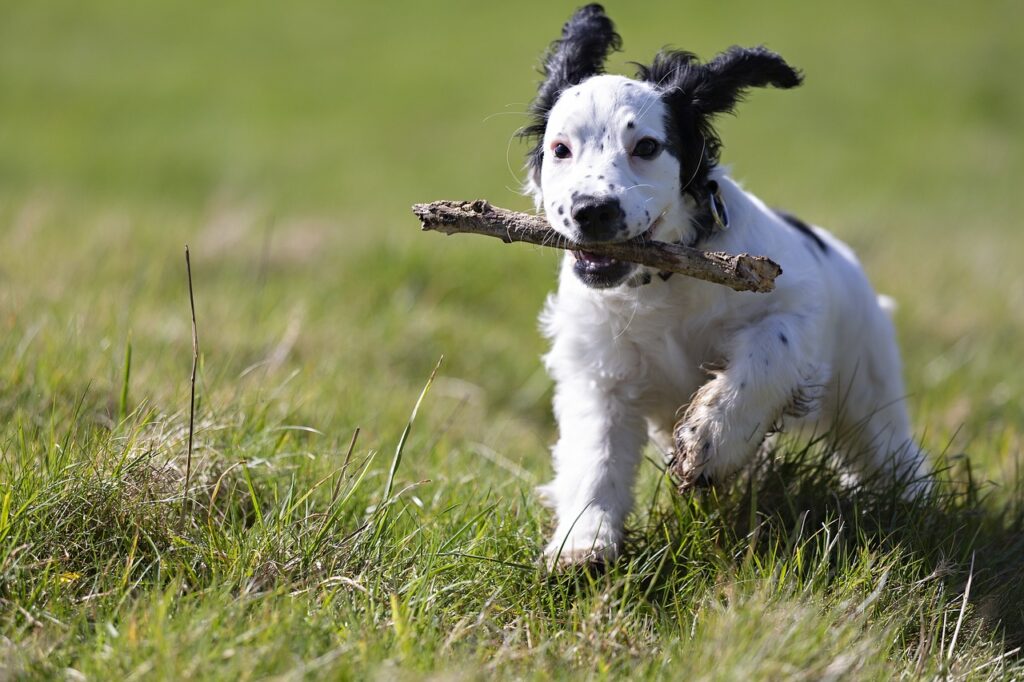 Git pull vs fetch: What’s the Difference? - FinalException.com IT Blog ... Git pull vs fetch: What’s the Difference? - FinalException.com IT Blog ...