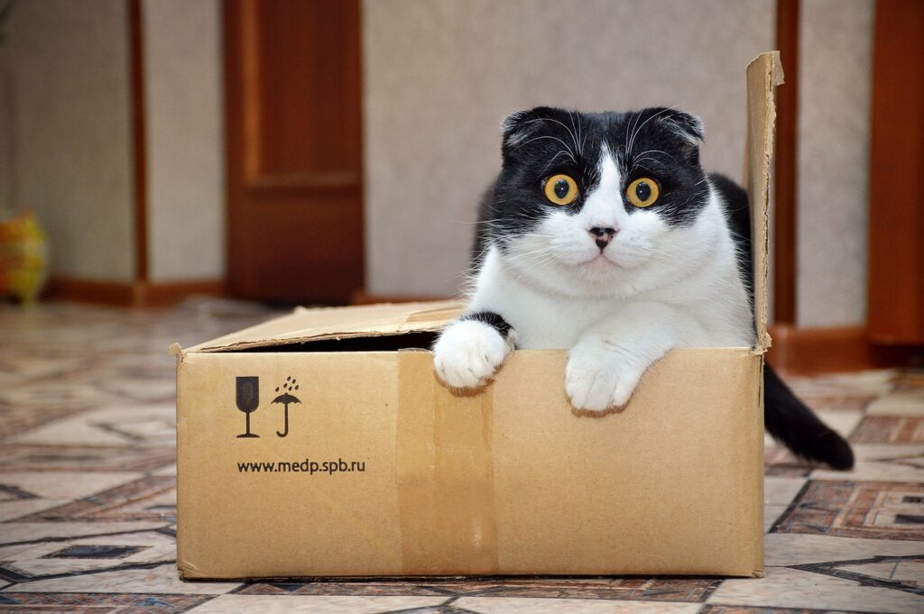 Fast Build And High Security In Net With Package Source Mapping 